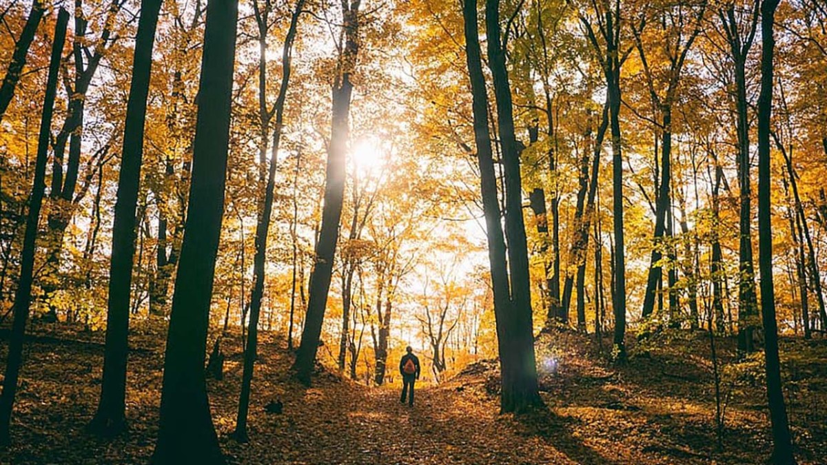 Desconéctate del mundo digital – Fernando Thompson